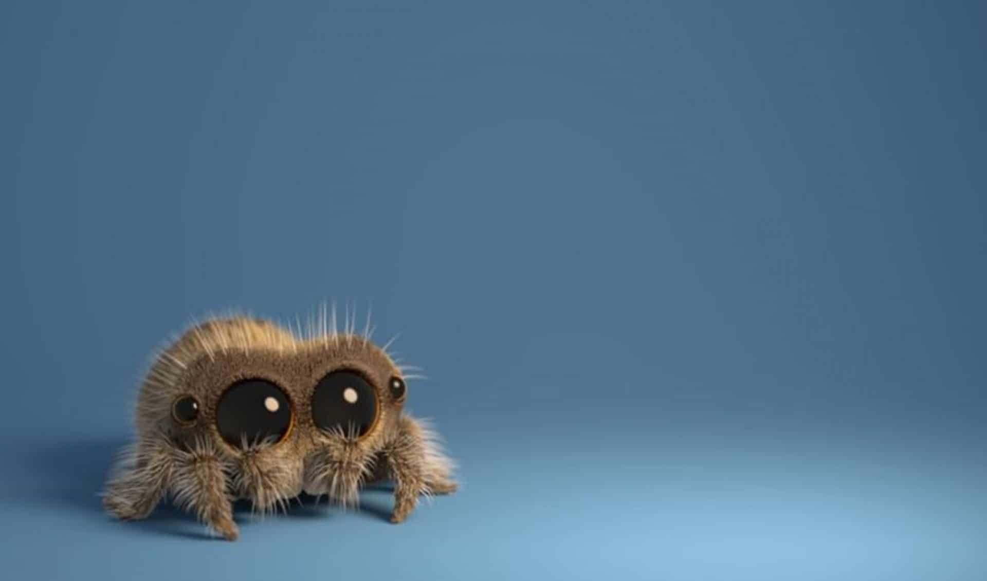 7 COSAS INTERESANTES DE LAS ARAÑAS - Quijote el Hidalgo